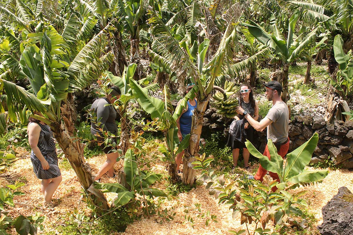 Trail running with Mirna Valerio in the Azores - Our island